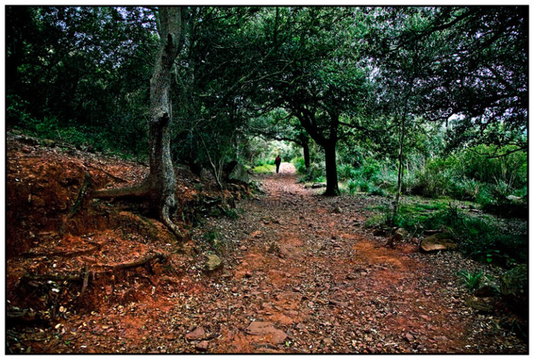 Reserva de la Biosfera : Autos Menorca, alquiler de coches